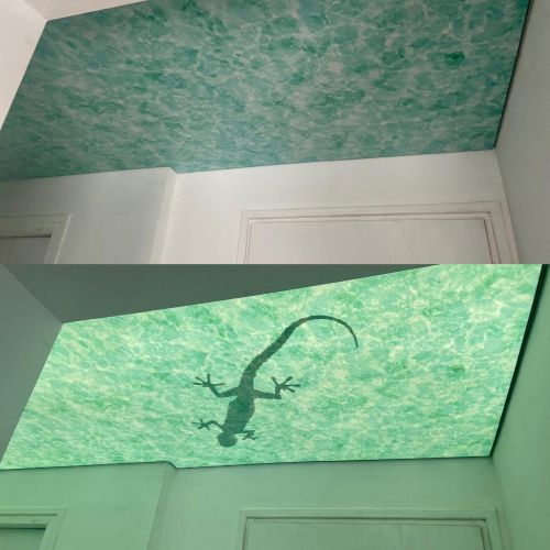 Double Vision Stretch Ceiling Membrane